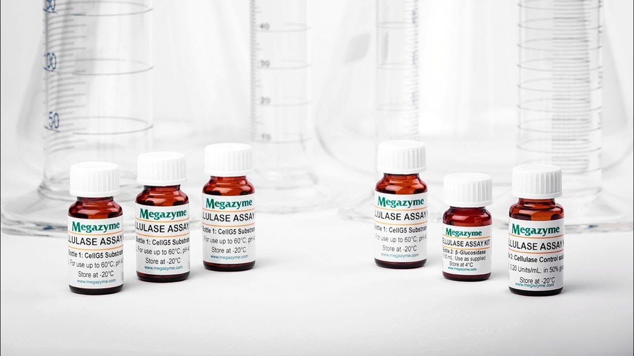 Cellulase Assay Protocol with K-CellG5 - YouTube