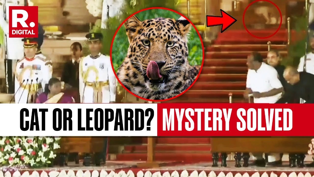 Cat Or Leopard? Delhi Police Reveals Mystery Of Animal At Modi 3.0 ...