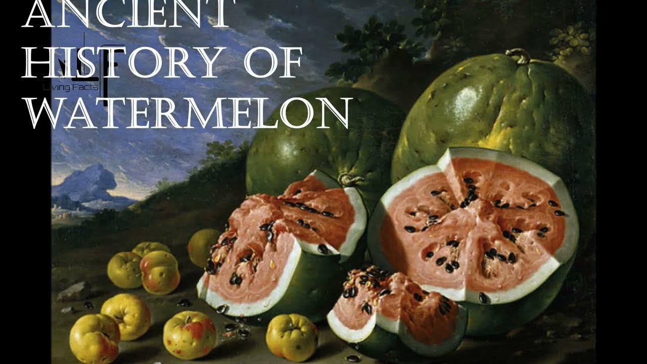 Ancient History of watermelon تربوز کی قدیم تاریخ - YouTube