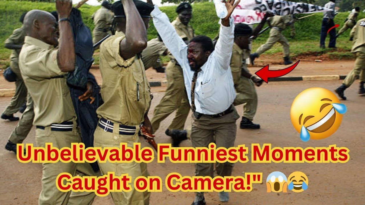 CRAZY Shocking And Funniest Videos Ever! 😂😂 Part 14 - YouTube