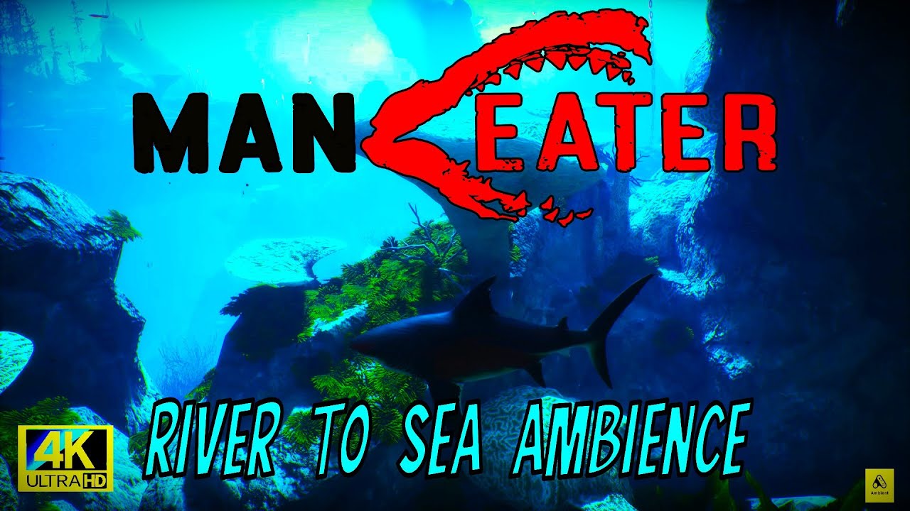 "Jaws Unleashed: Maneater Shark Ventures from River to Ocean - Immersive Ambience" - YouTube