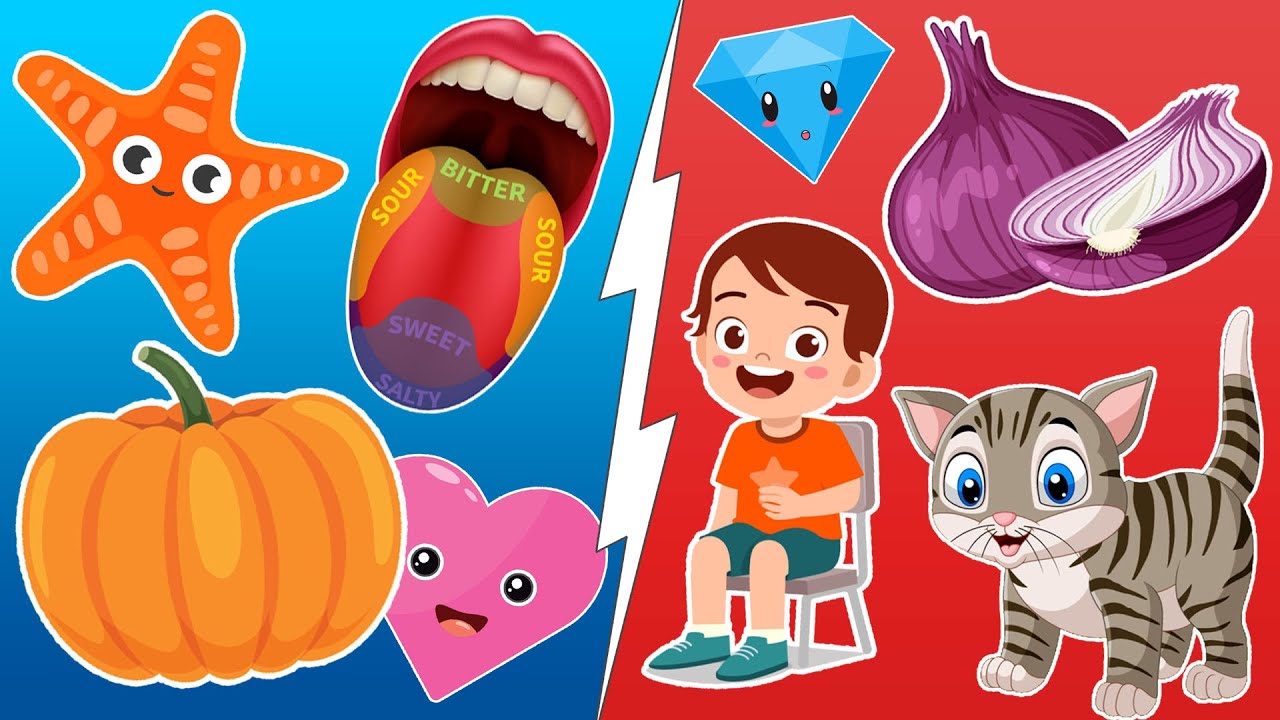 Forme E Colori + Numeri da 1 a 20 + Altri Video Educativi per Bambini ...