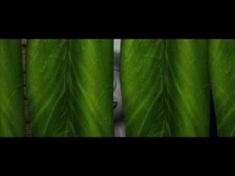 Animation Movie Bird Idol Trailer - YouTube