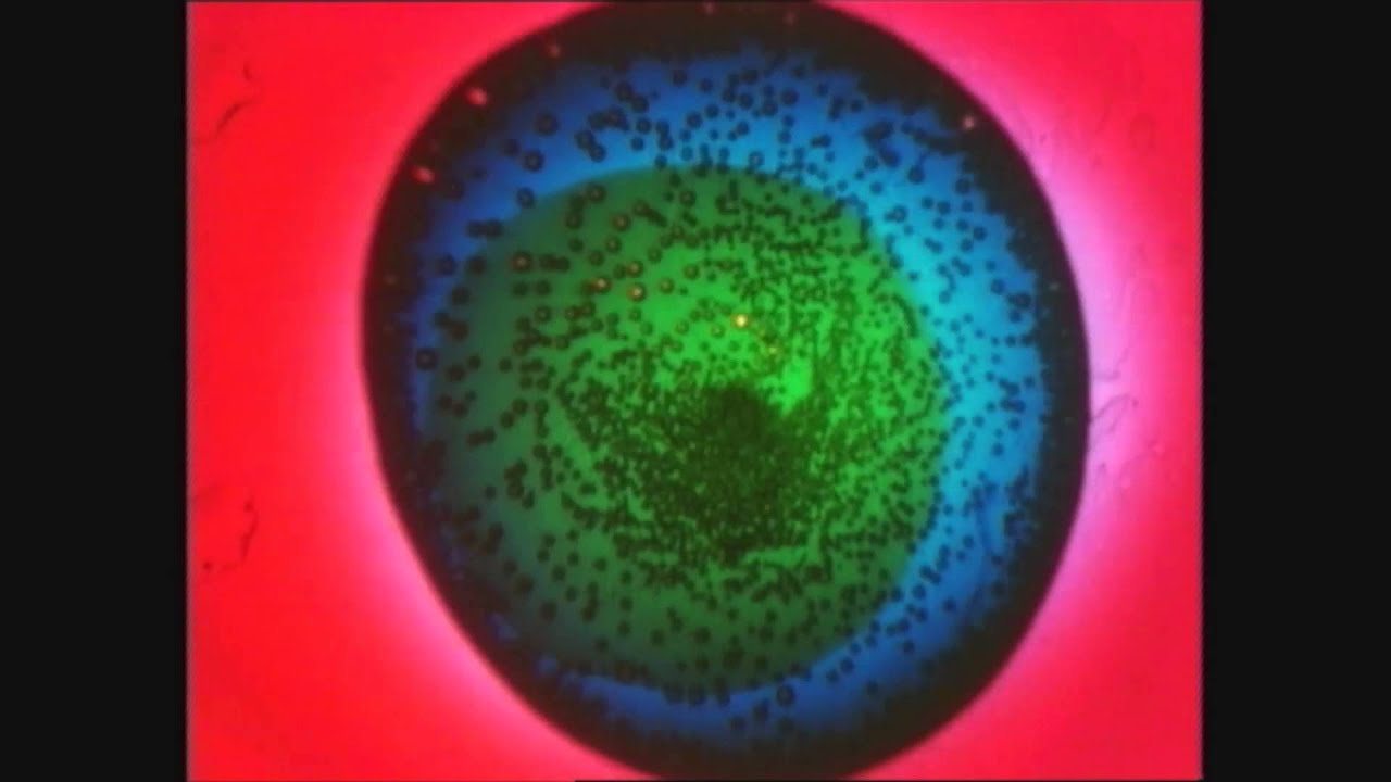 Cavern of Anti Matter - liquid gate (ft. Bradford Cox) - YouTube