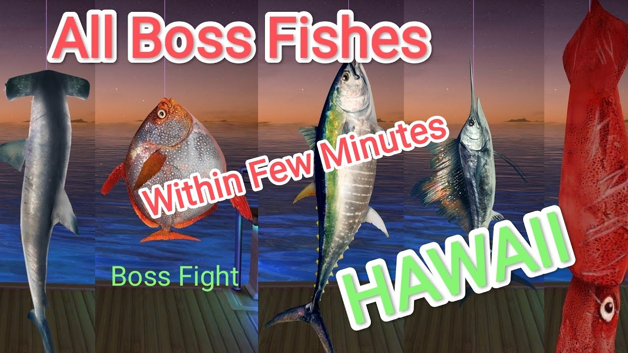 Fishing Clash : All Hawaiian Boss Fishes #fishingclash #androidgames # ...