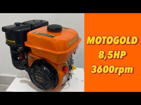 Gasoline engine 8,5HP / Motogold brand 3600rpm #kimseahinota - YouTube