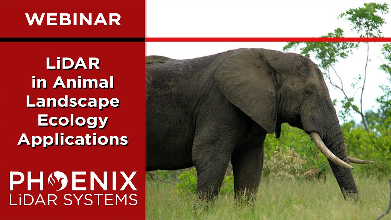 Webinar: LiDAR in Animal Landscape Ecology Applications - YouTube