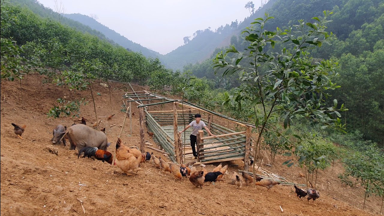 Model of Pig Farm in the Forest, Building Life, Episode 98 - YouTube