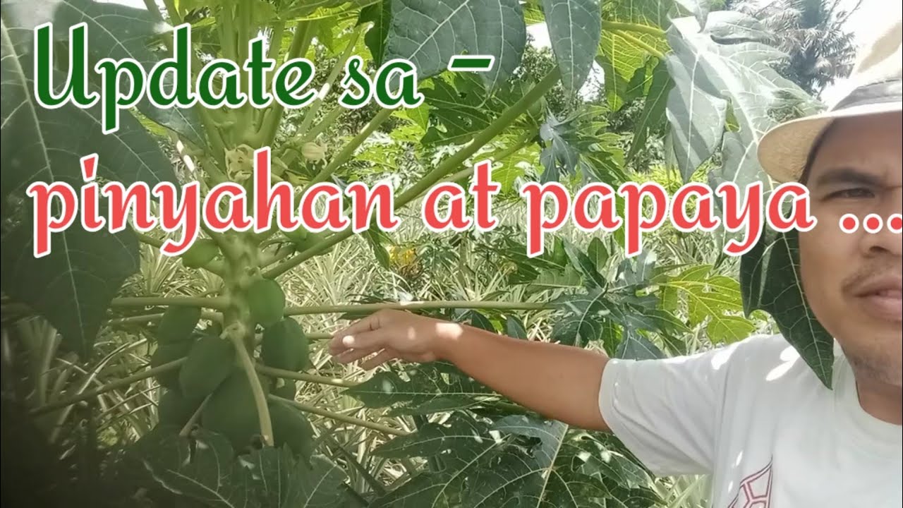 Pinyahan at Papayahan @ Natz Escapades - YouTube