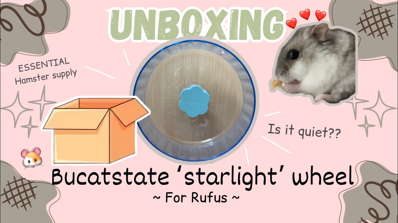 NEW WHEEL UNBOXING// the Bucatstate “Starlight” hamster wheel! ⭐️🐹 ...