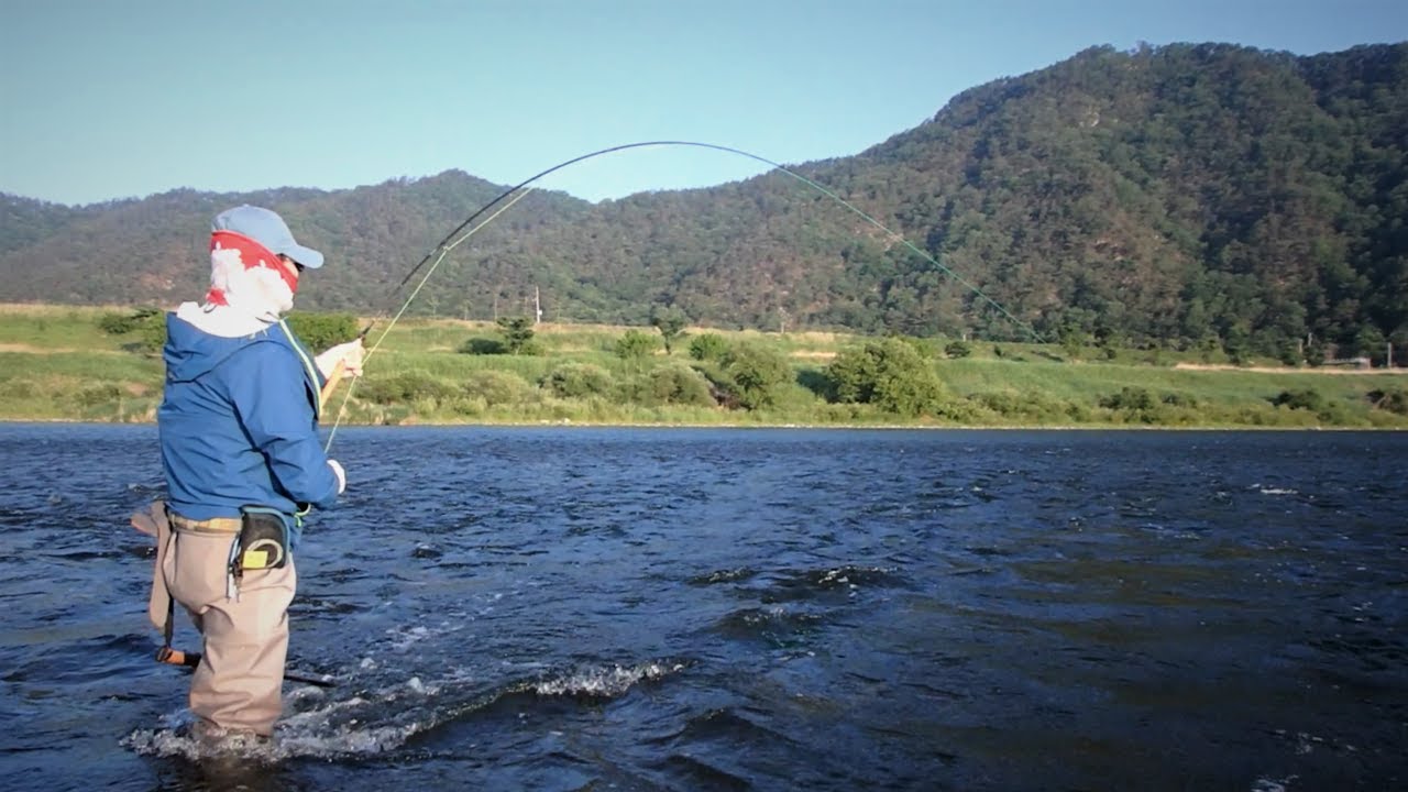 Nuchi flyfishing in the Nam Han River with Skagit... (Rio skagit max ...