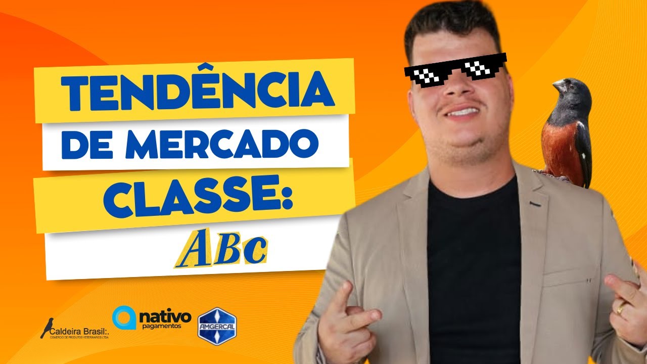 Descubra o que está em alta classe A, B, C | Minha opnião - YouTube
