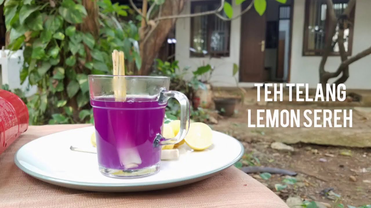 Kreasi Bunga Telang (Es Kelapa Telang & Teh Telang Lemon Sereh) - YouTube
