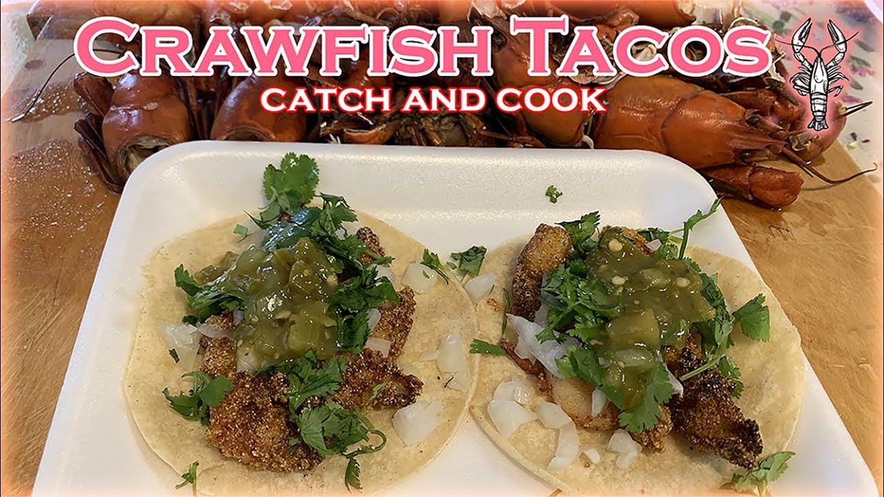 (Catch & Cook) Crawfish Tacos😋@ Big Bear Lake (Dons Adventures) - YouTube