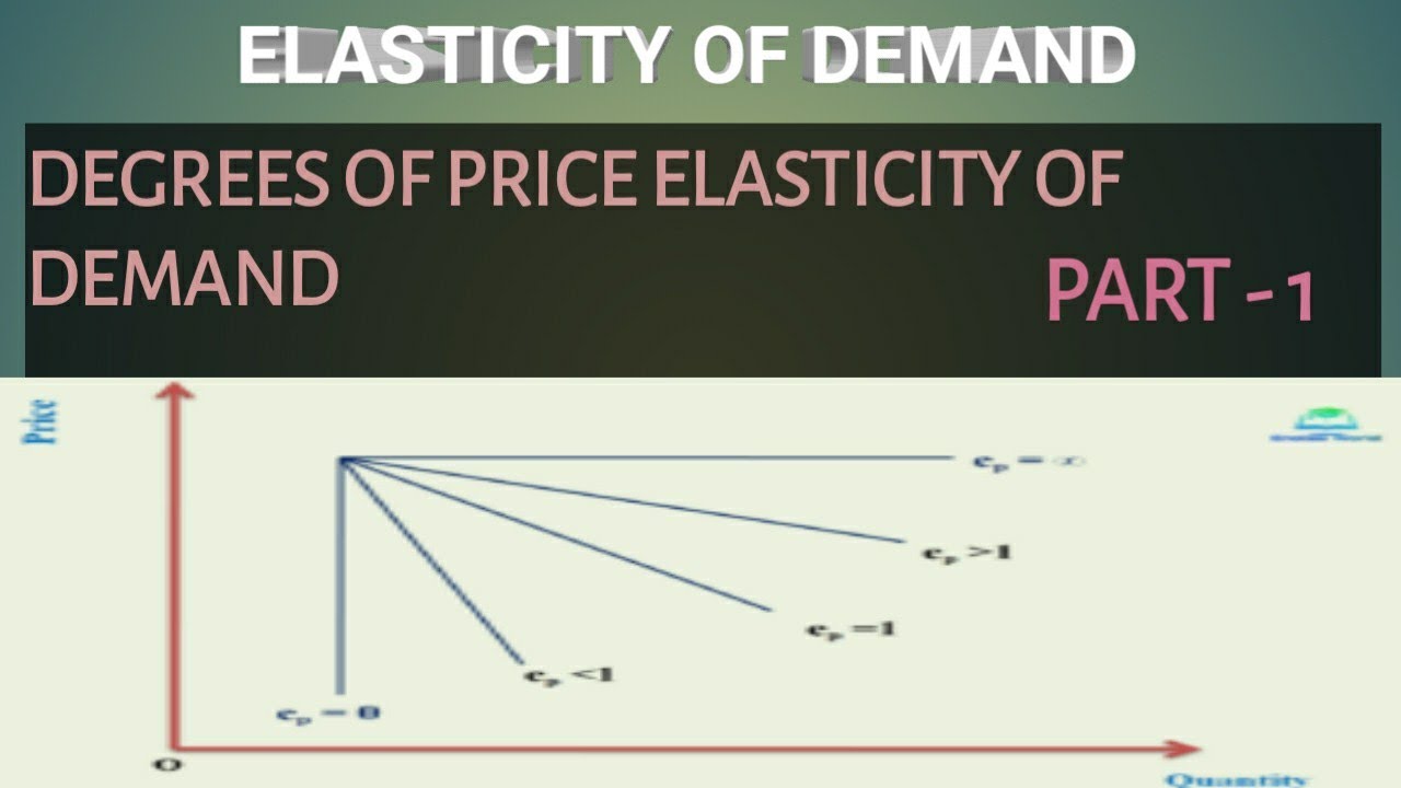 ELASTICITY OF DEMAND | DEGREES OF PRICE ELASTICITY OF DEMAND | PART - 1 | CBSE | HBSE | 12 | B ...
