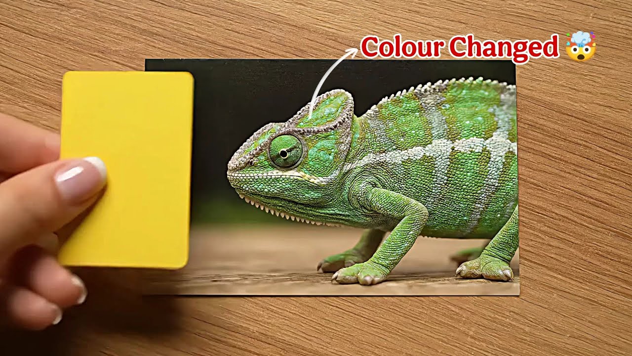 Lizard Suddenly Changed His Colour 🤯 - YouTube