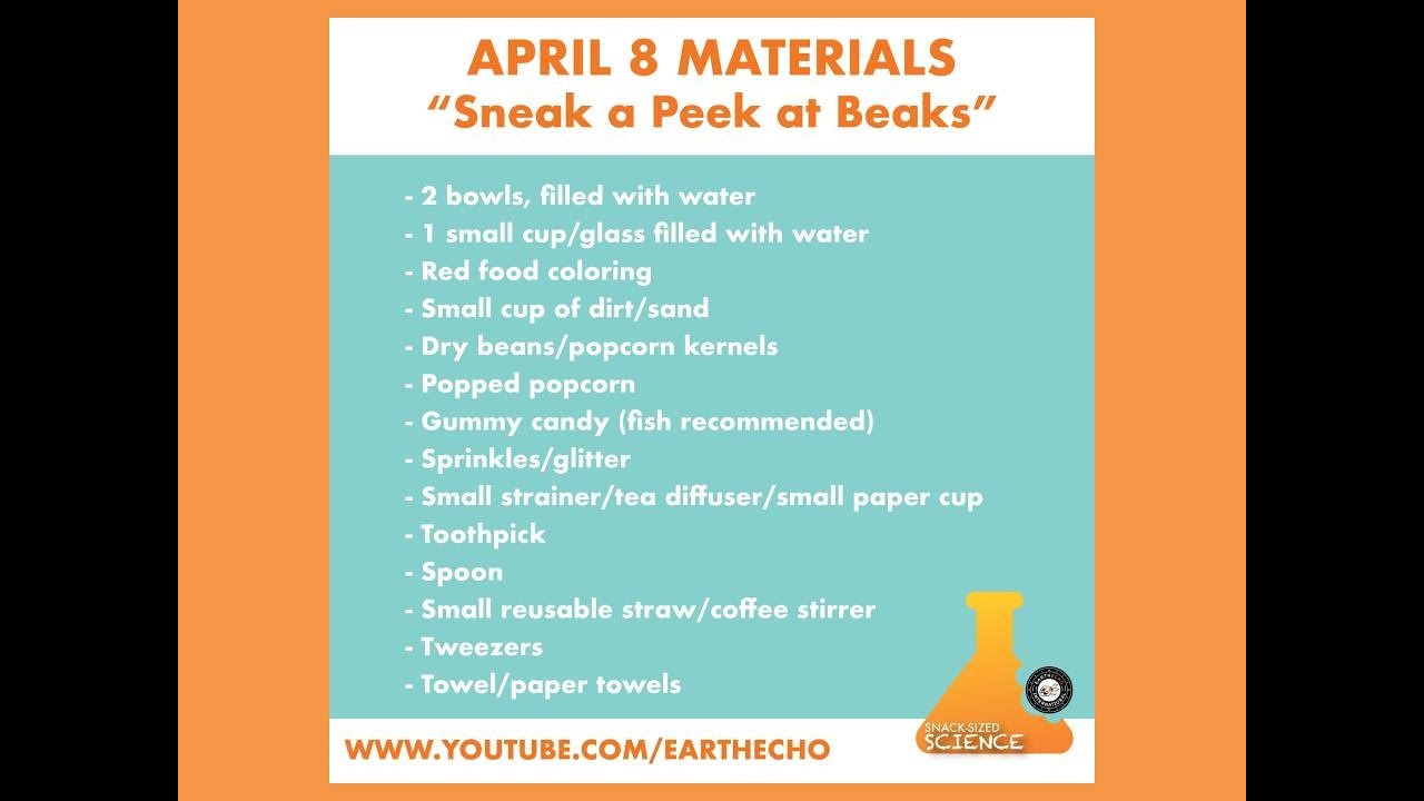 Snack-Sized Science: Sneak a Peek at Beaks - YouTube