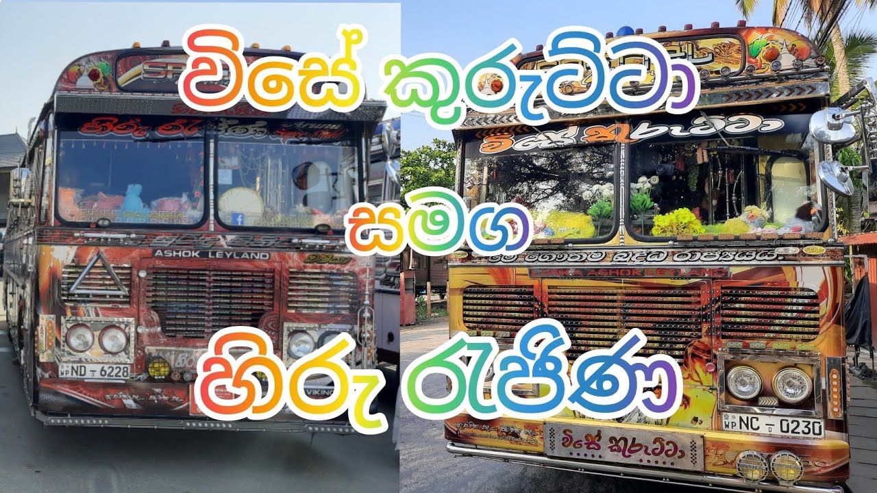 vise kurutta vs hiru rajini විසේ කුරුට්ටා vs හිරු රැජිණි - YouTube