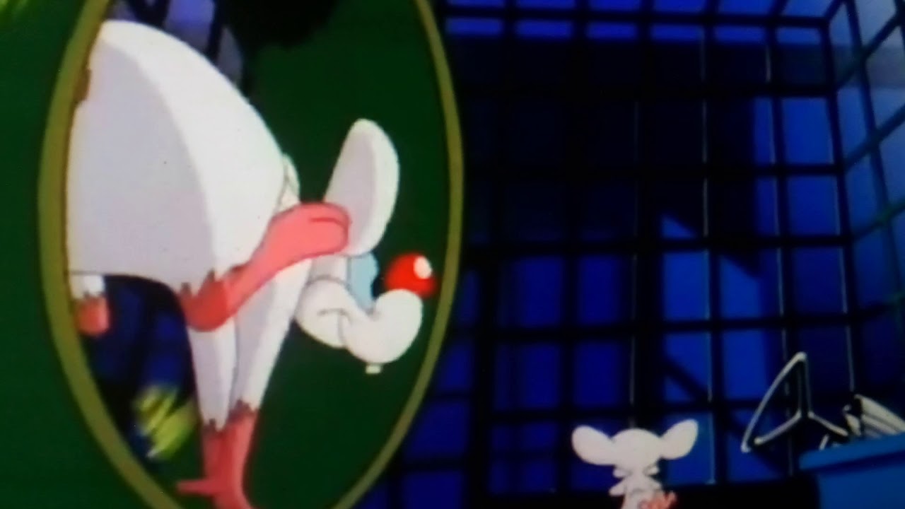 Pinky and the Brain theme song cover - YouTube