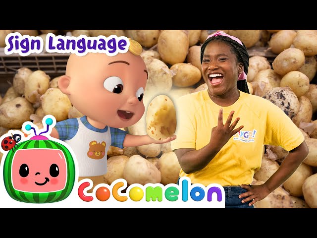 One Potato, Two Potatoes 🥔 | CoComelon with ASL | 🖐️ Sign Language for ...