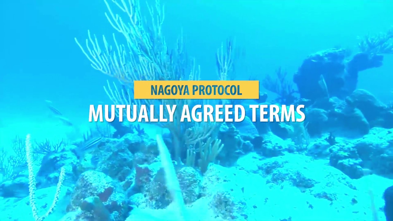 THE NAGOYA PROTOCOL Wapishana language - YouTube