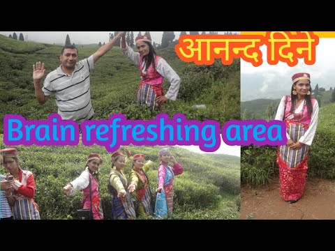 beautiful ilam and gift of nature/ Nepal - YouTube