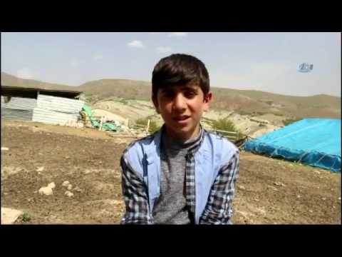 Çobanlık Yaparken Elleri Nasır Tutan Habip'in TEOG'da ki Büyük Başarısı