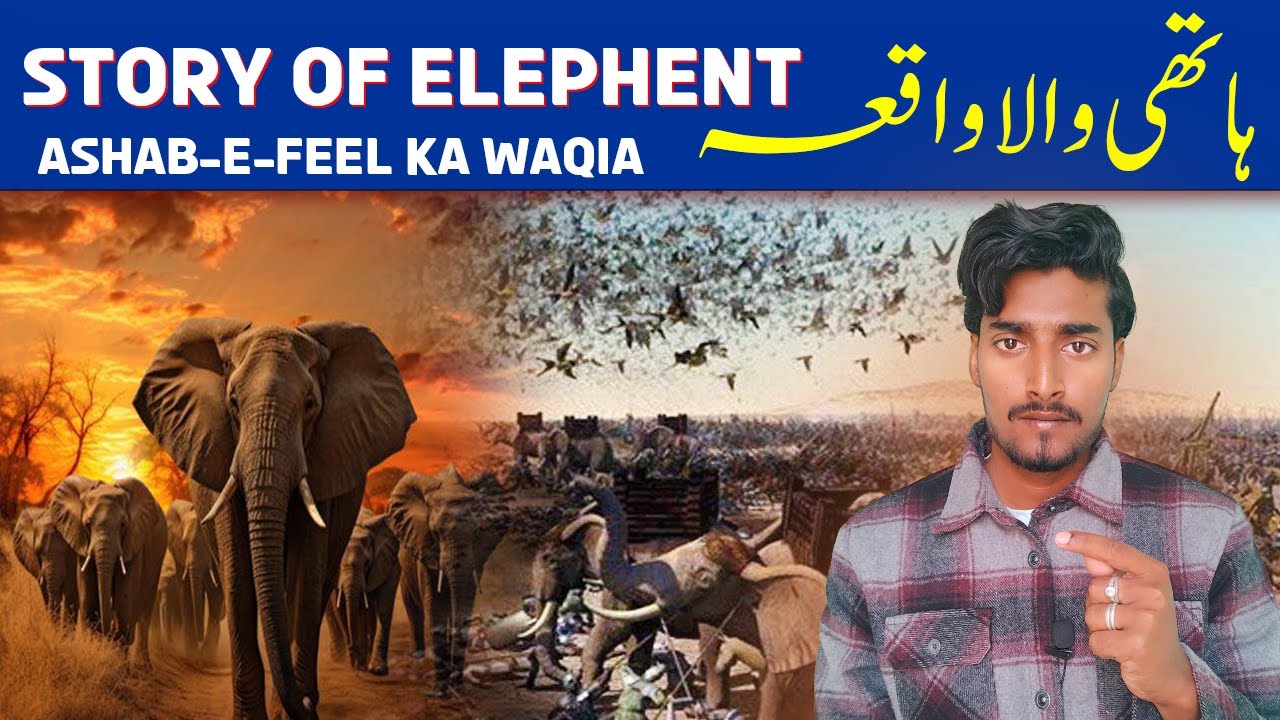 Story of Elephent || ہاتھی والا واقعہ || Mohammad Mofil - YouTube