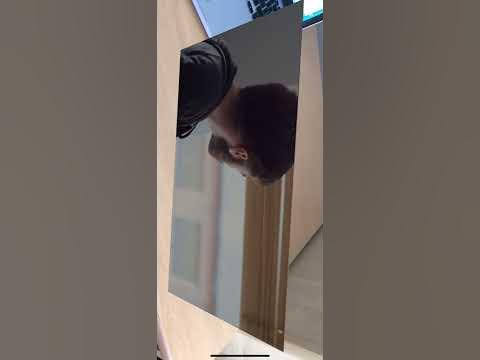 Object Detection-based AR (Superimposition) using AR Kit - YouTube