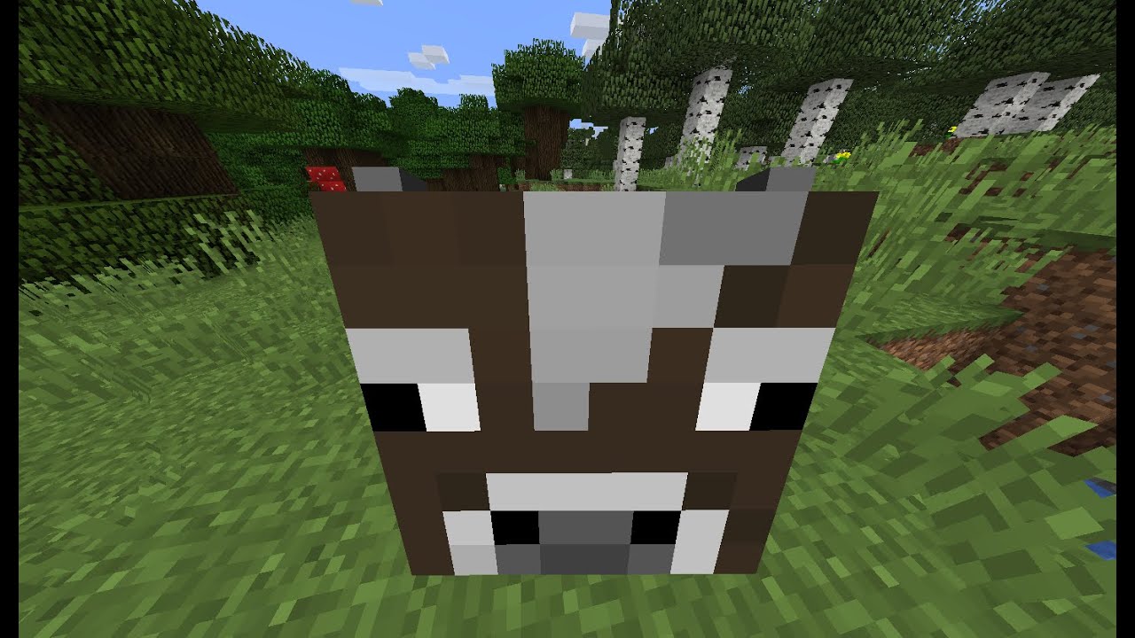 Grass Fed Beef - Minecraft Shorts - YouTube
