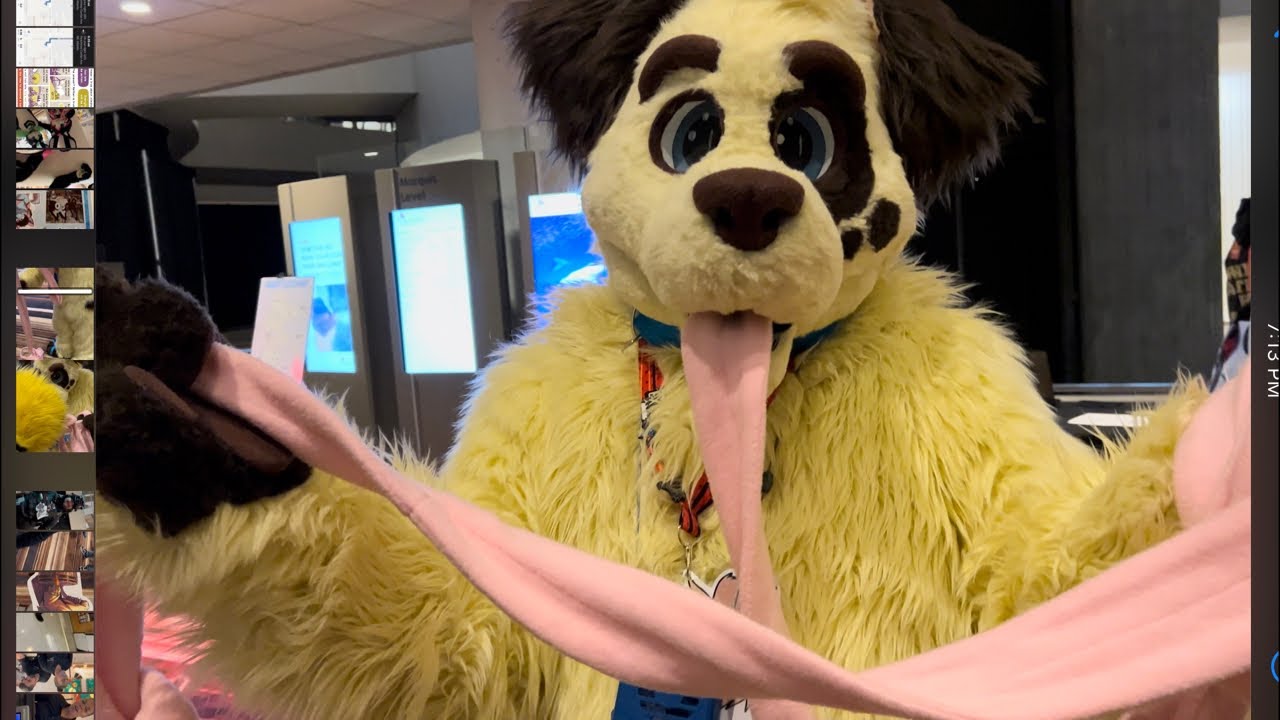 Poking Furries Furry Weekend Atlanta LIVE 2023 - YouTube