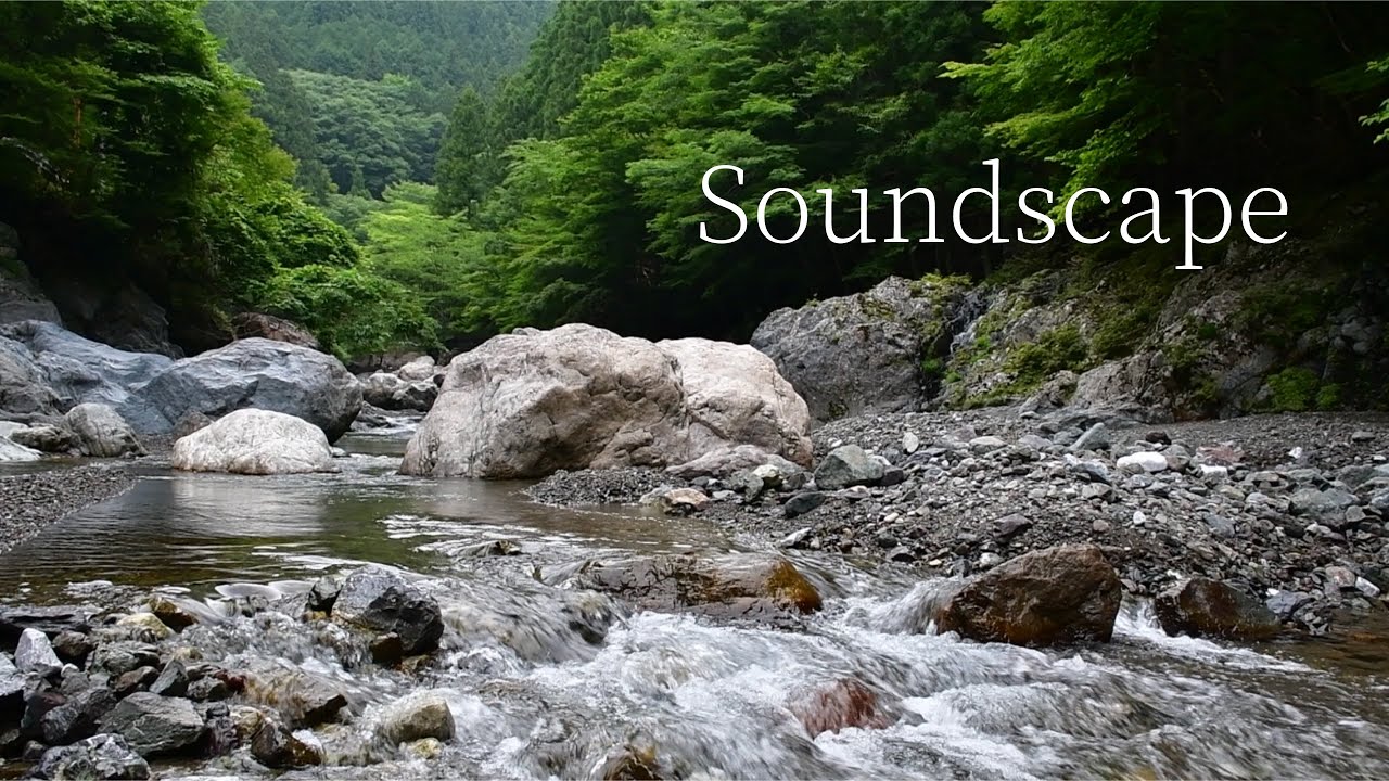 【Soundscape】Nature Sounds/Bubbling Brook Sounds/Relaxing Nature Sounds ...