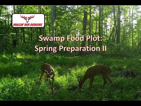 Swamp Food Plot - Spring Preparation II - YouTube