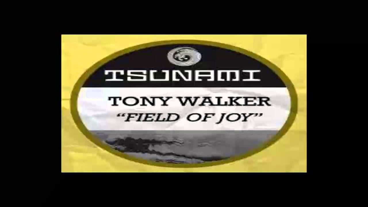Tony Walker - Field Of Joy (Ferry Corsten Remix) - YouTube