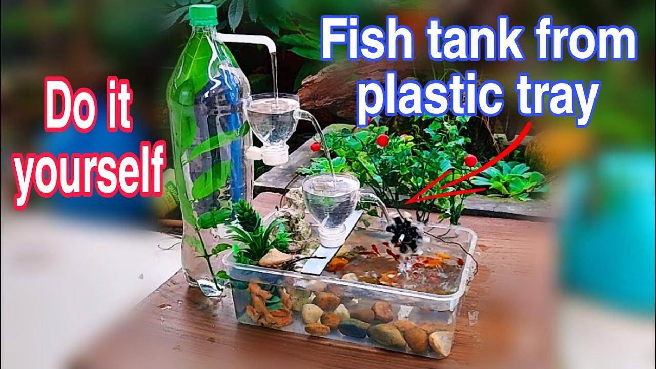 Turn TRASH into CUTE Fish Tanks with These Surprising Hacks - YouTube