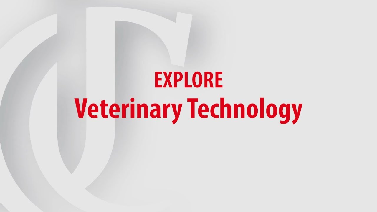 Veterinary Technology Program at UC Blue Ash College - YouTube