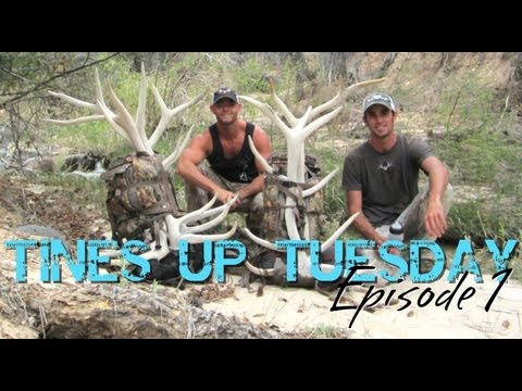 Tines Up Tuesday: Episode 1, Shed Antler Hunting Overnight Backpack ...