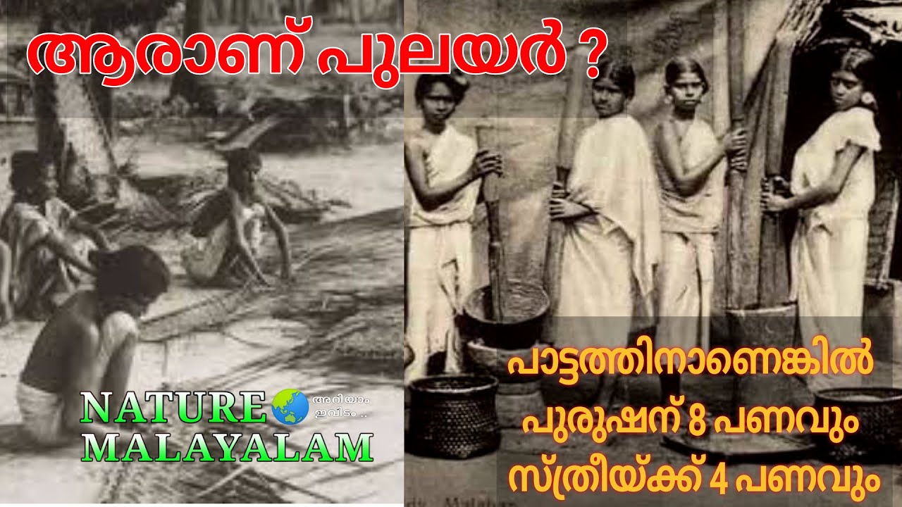 പുലയരും നമ്പൂതിരിയും | പണ്ട് നിലനിന്നിരുന്ന അയിത്താചാരം | pulayar cast ...