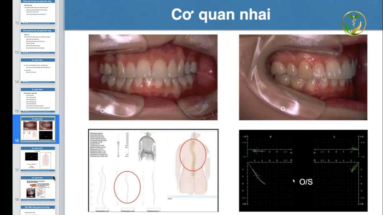 ĐẠI CƯƠNG GIẢI PHẪU RĂNG | Bài 1. Giới thiệu bài giảng Đại cương giải ...