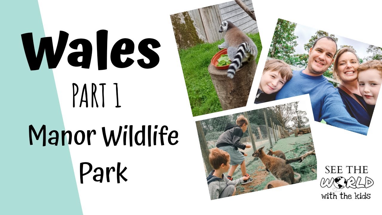 WALES ROAD TRIP! || Manor Wildlife Park - Tenby Zoo || Family Travel ...