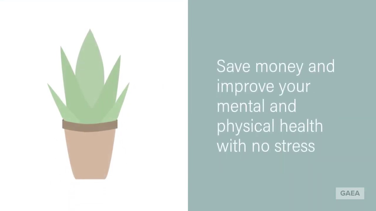 Gaea- Explainer Video - YouTube