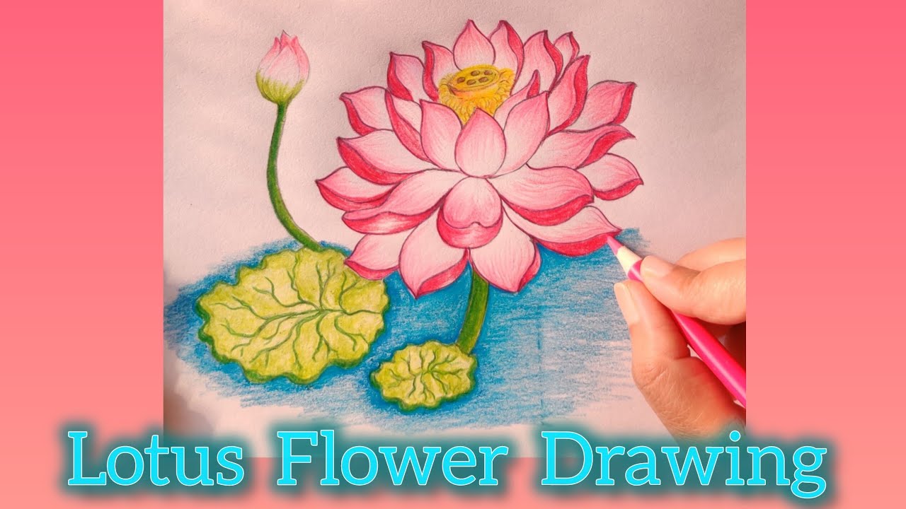 How To Draw a realistic Lotus Flower| Step by Step Easy Drawing ...
