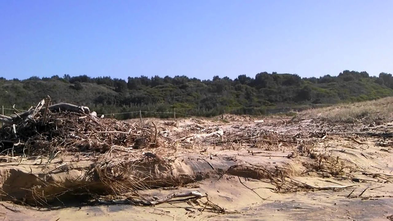 August Camping Trip 2011 27 - YouTube