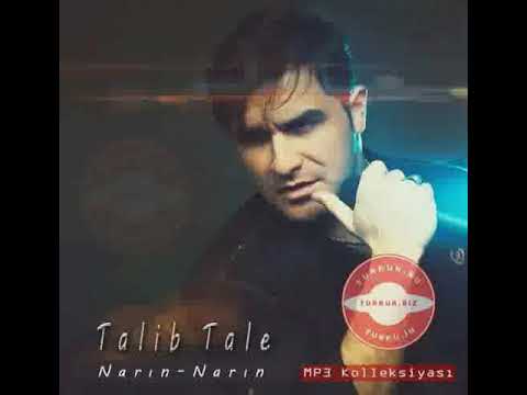 Talib taleh