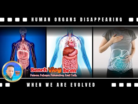 Human Organs Disappearing when we are Evolved - YouTube