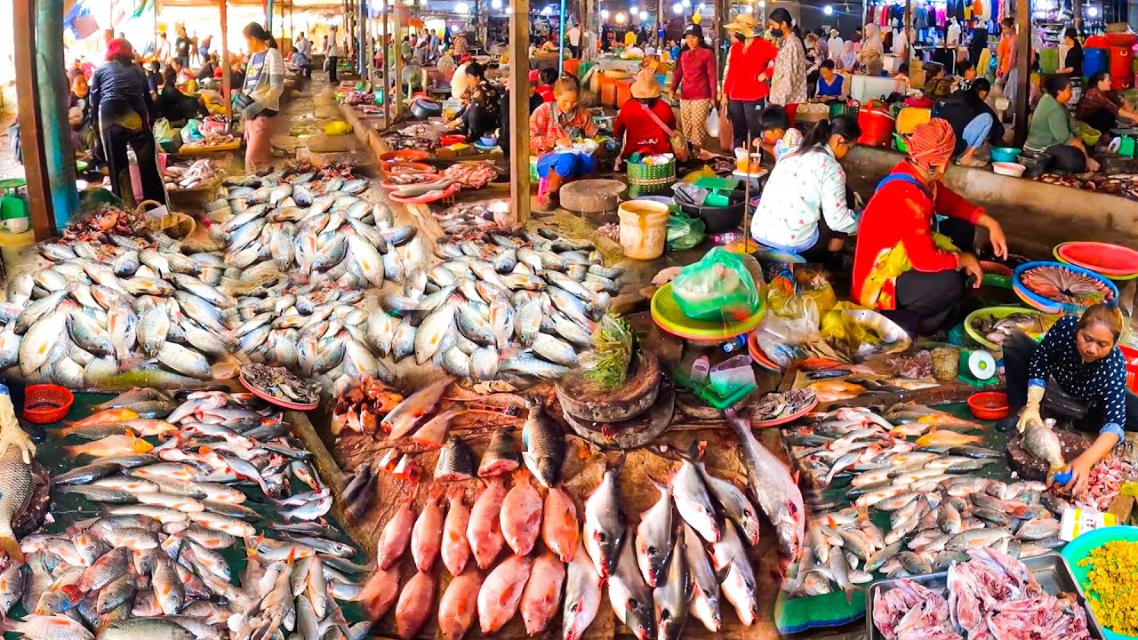 Amazing fish market activities, massive supply of fish, fresh fish ...