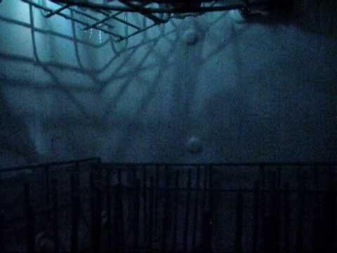 Kitchenaid KDS-18 Rinse&Hold - YouTube