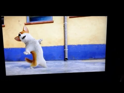 The Queens Corgi Puppy Love Scene {Rex x Wanda Moment!} 💘💖 - YouTube