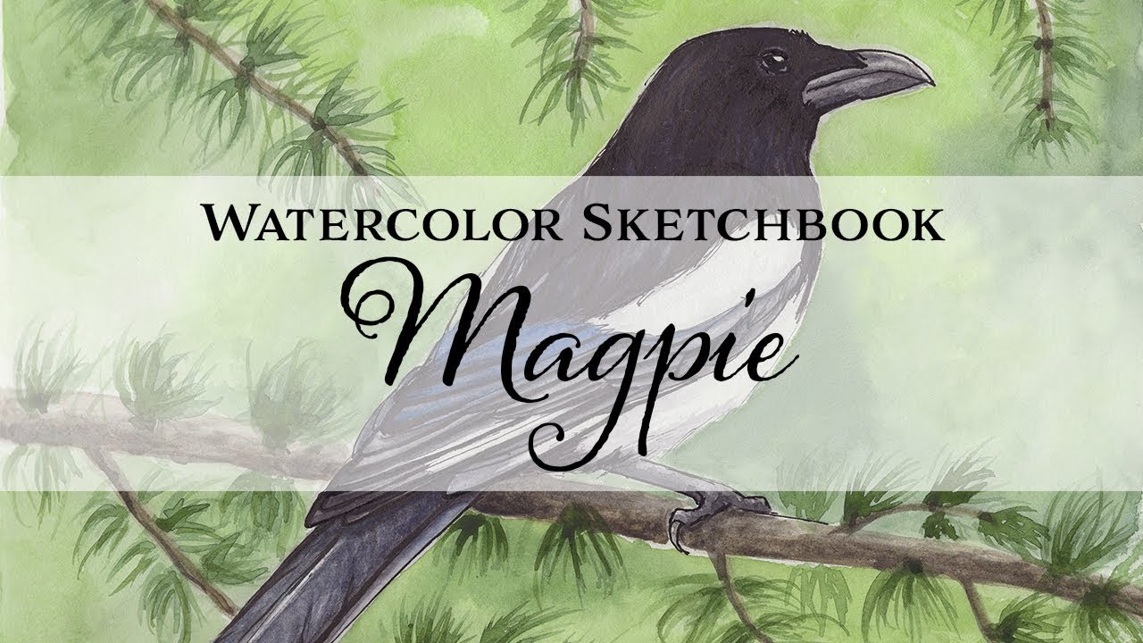 Watercolor Sketchbook: Magpie - YouTube