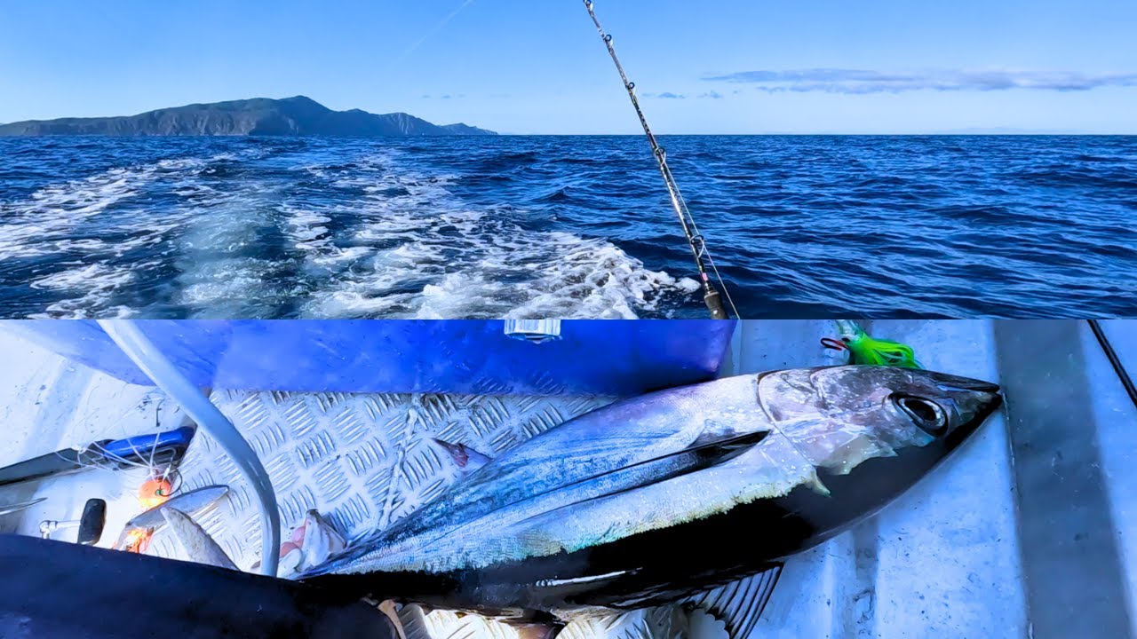 CATCHING TUNA ON 11FT DINGHY!? - FISHING 20KM OFFSHORE KAPITI COAST ...